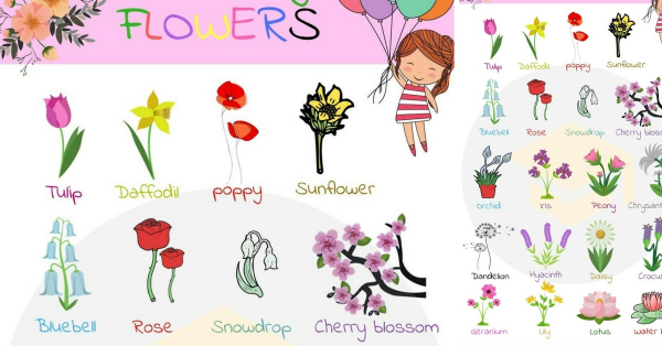 3000 từ vựng tiếng Anh thông dụng nhất theo chủ đề. | VOCA.VN